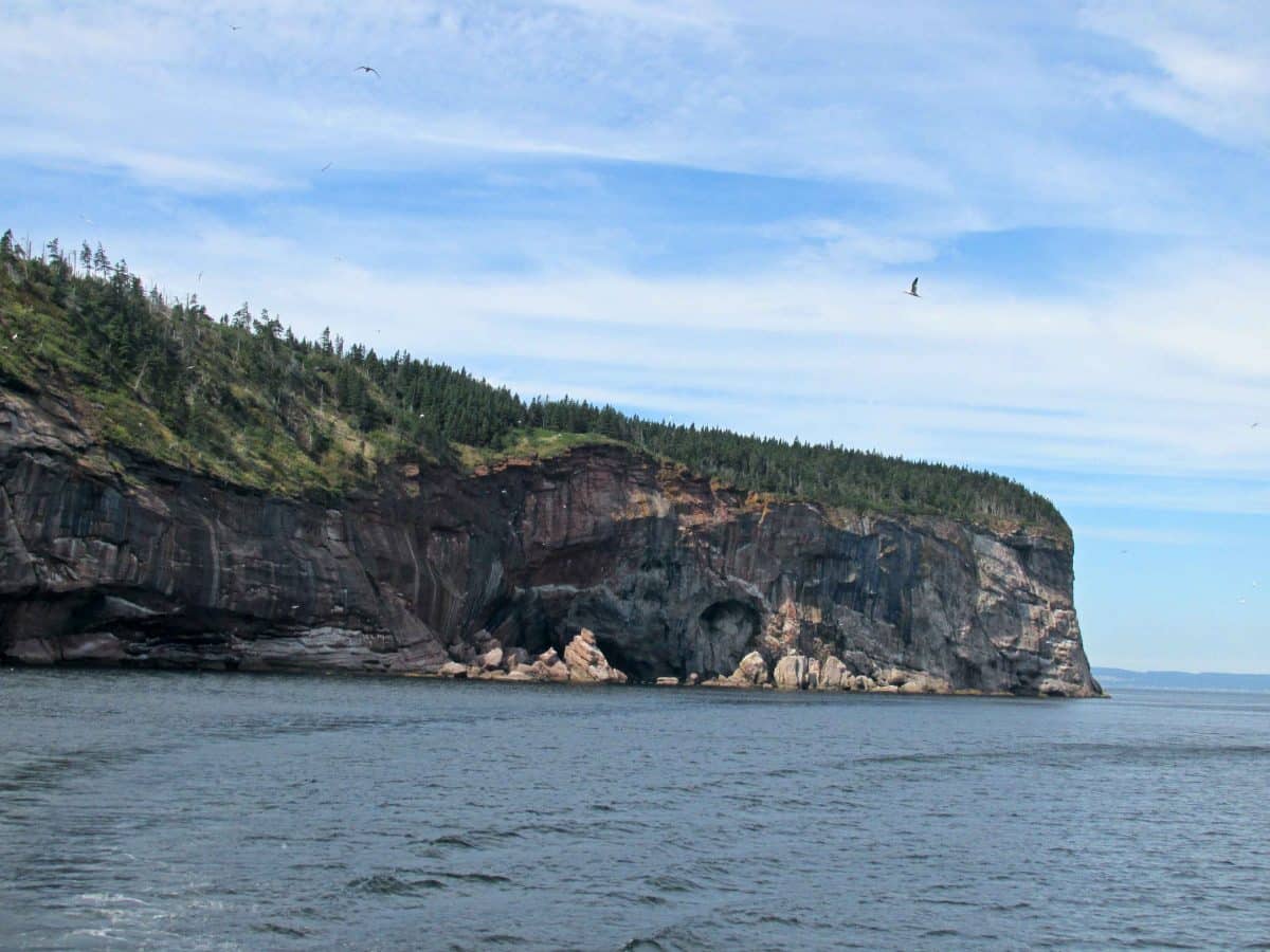 Le Québec maritime ⚓ vacances en Gaspésie - Crapaud Chameau