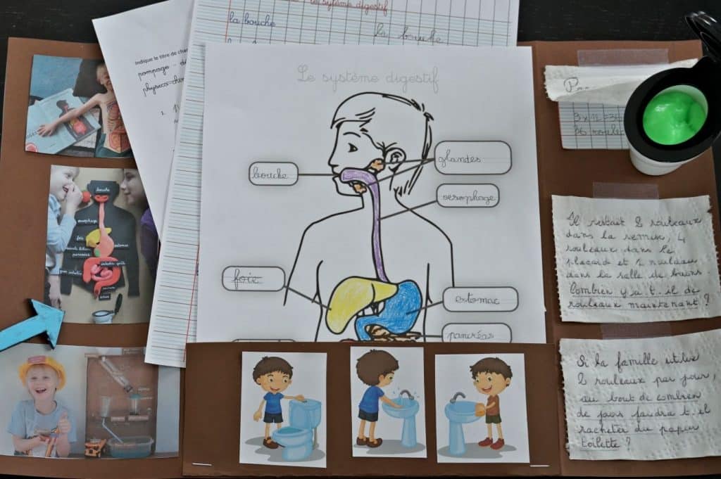 Une étude de crotte 💩 - Crapaud Chameau